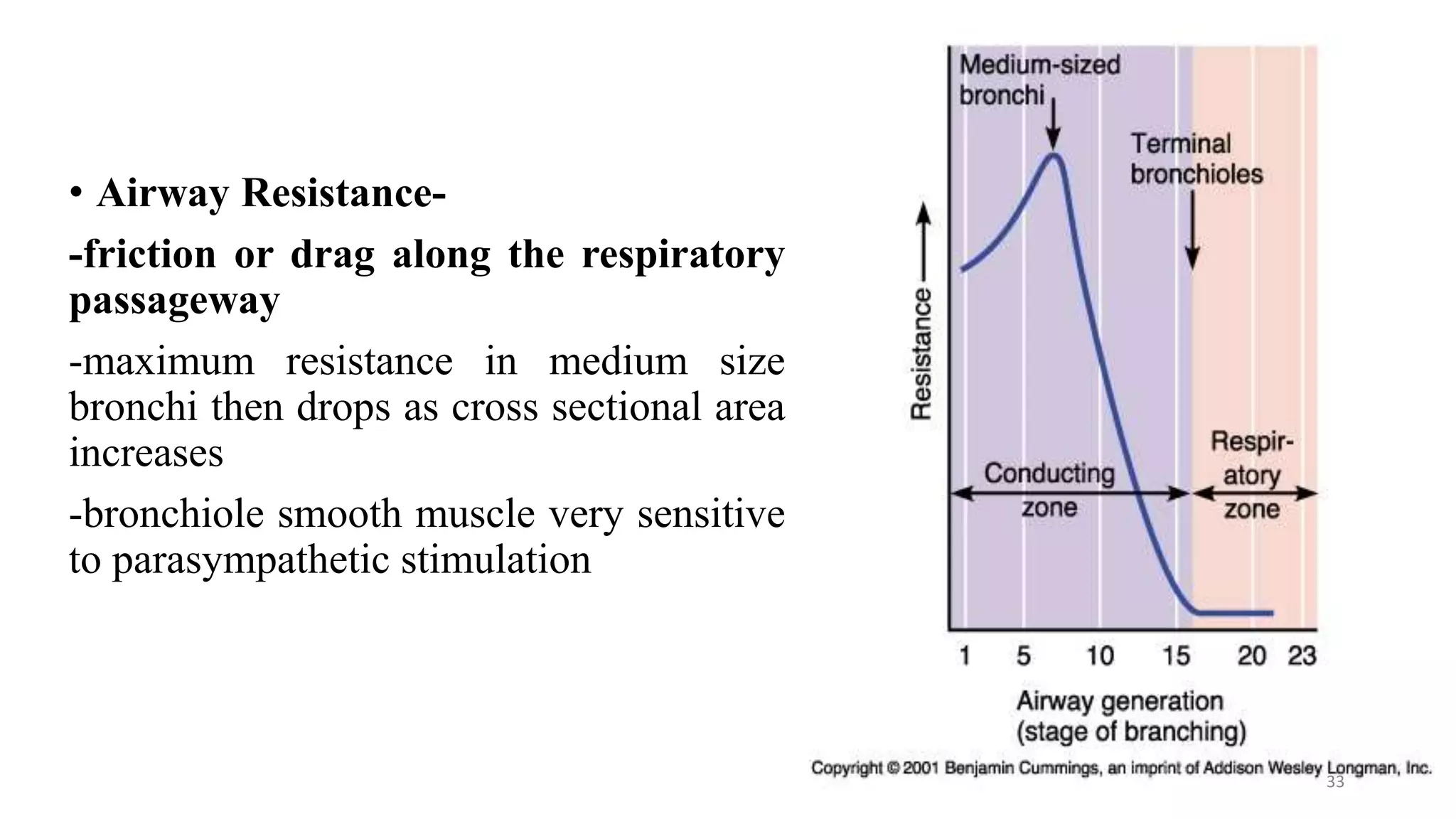 Respiratory Physiology.pptx