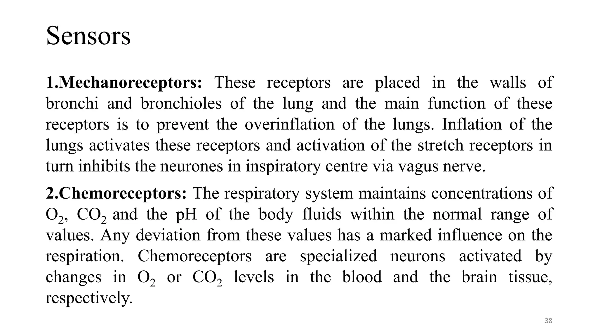 Respiratory Physiology.pptx