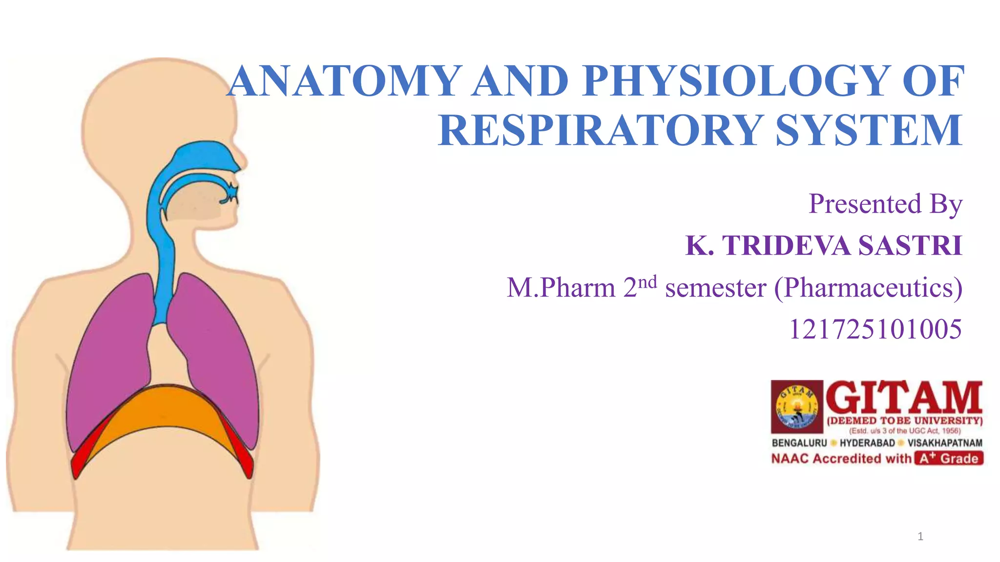 Respiratory Physiology.pptx