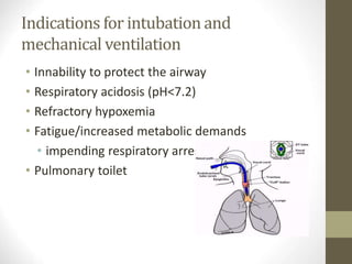 Respiratory Physiology.ppt
