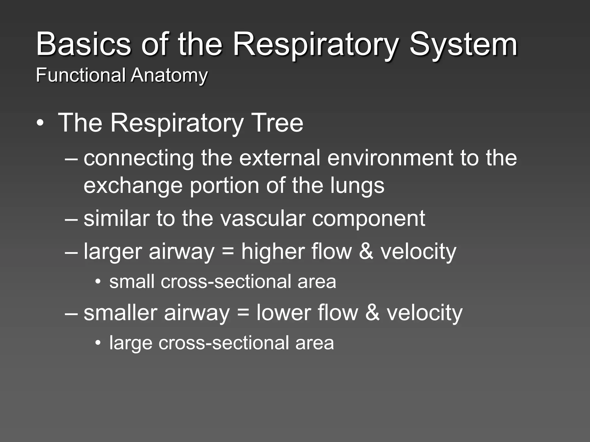 Respiratory Physiology ....functions of respiratory system | PPT