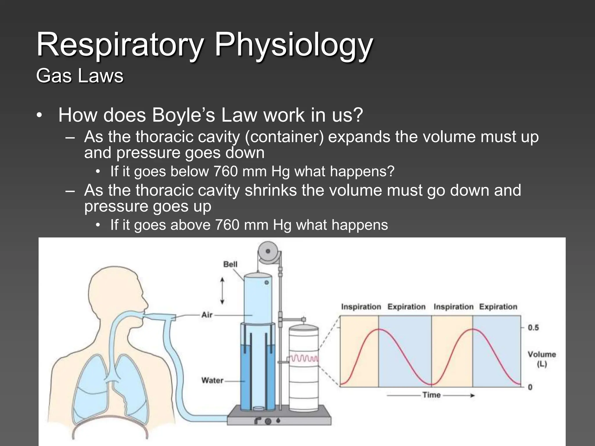 Respiratory Physiology ....functions of respiratory system | PPT