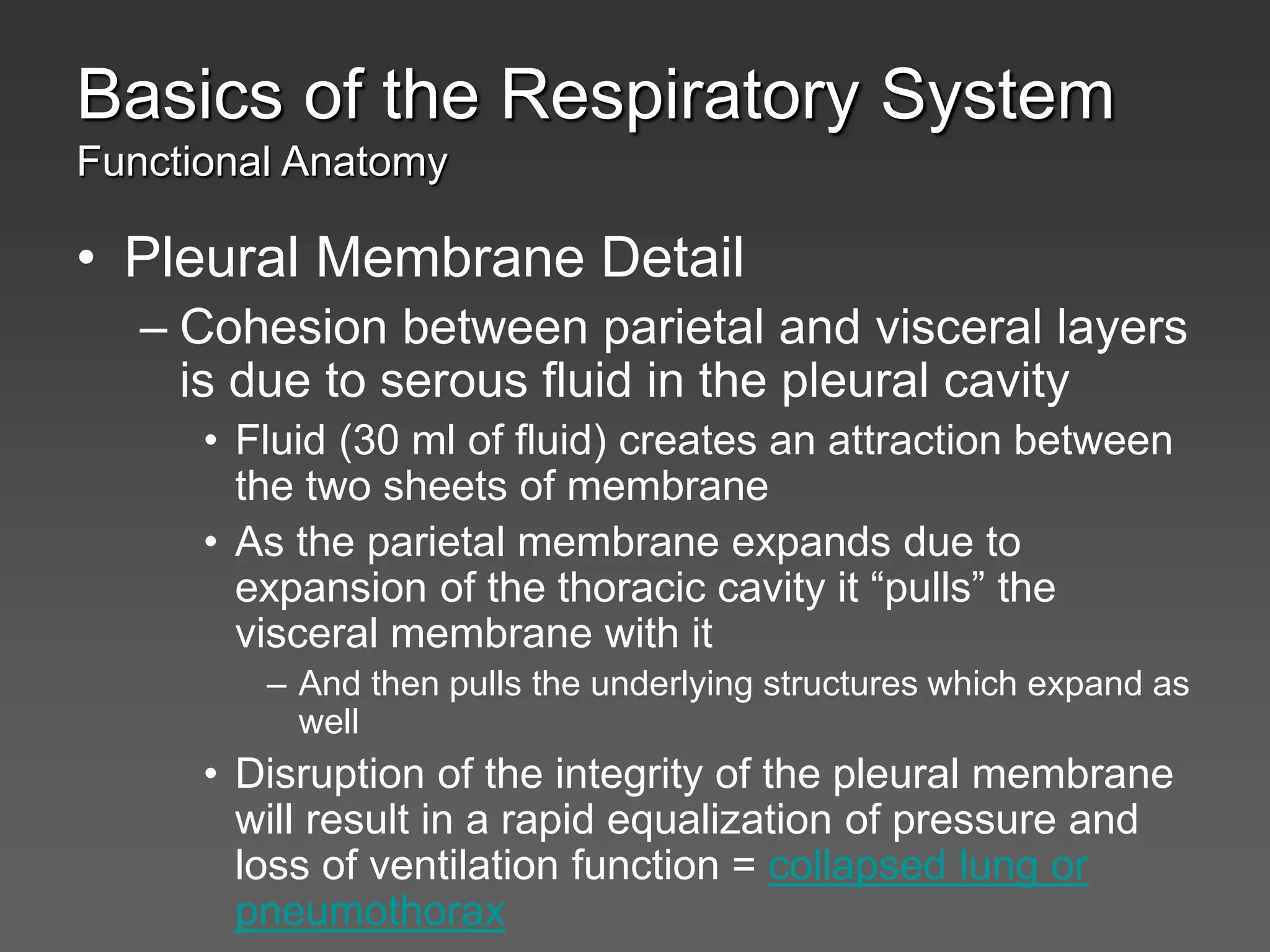 Respiratory Physiology ....functions of respiratory system | PPT