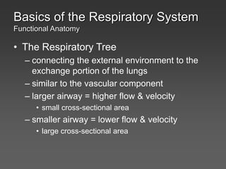 Respiratory Physiology ....functions of respiratory system | PPT