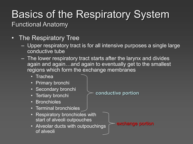 Respiratory Physiology ....functions of respiratory system | PPT | Lung ...