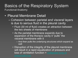 Respiratory Physiology ....functions of respiratory system | PPT
