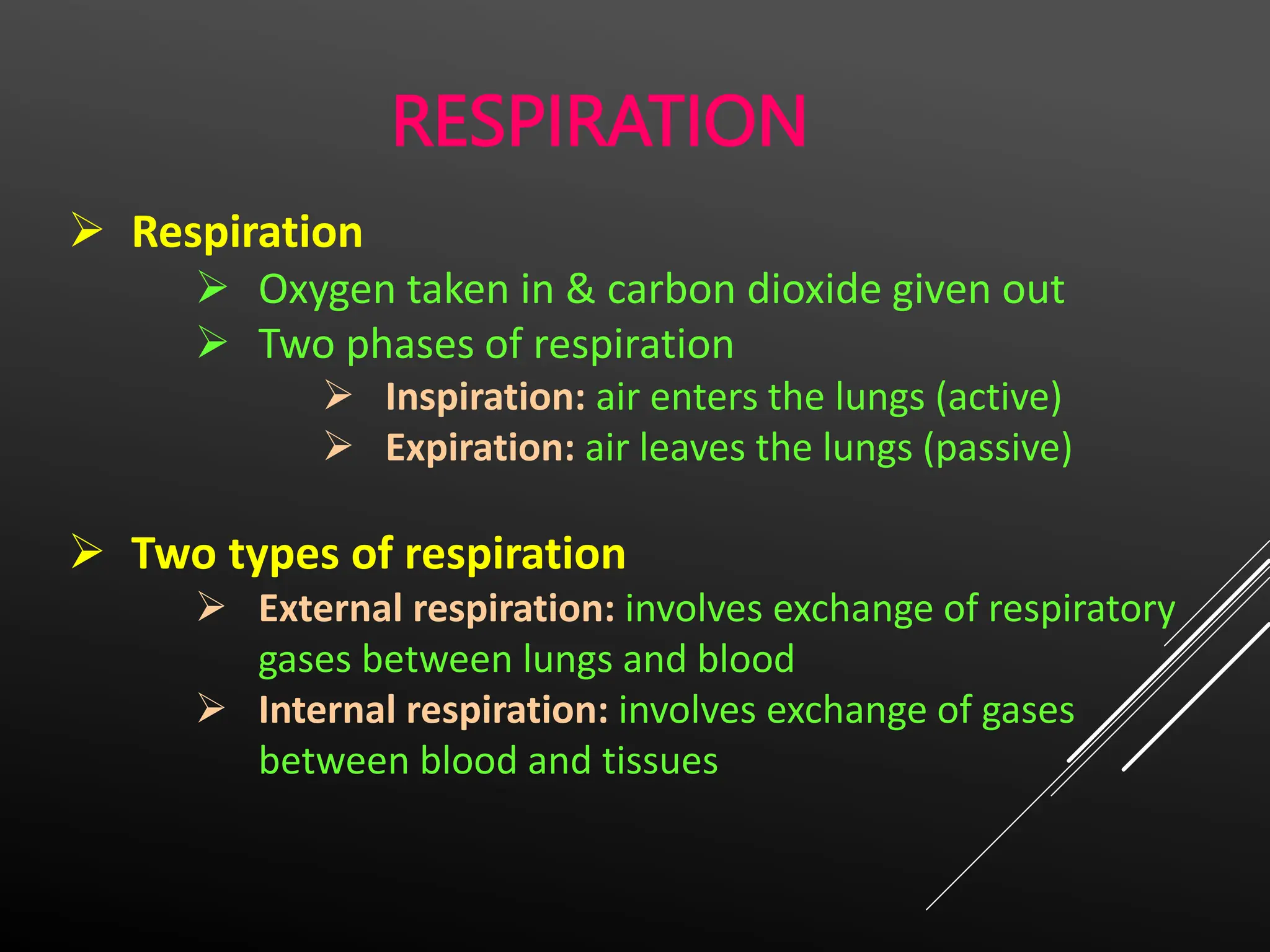 Respiratory Physiology_human_veterinary.pptx