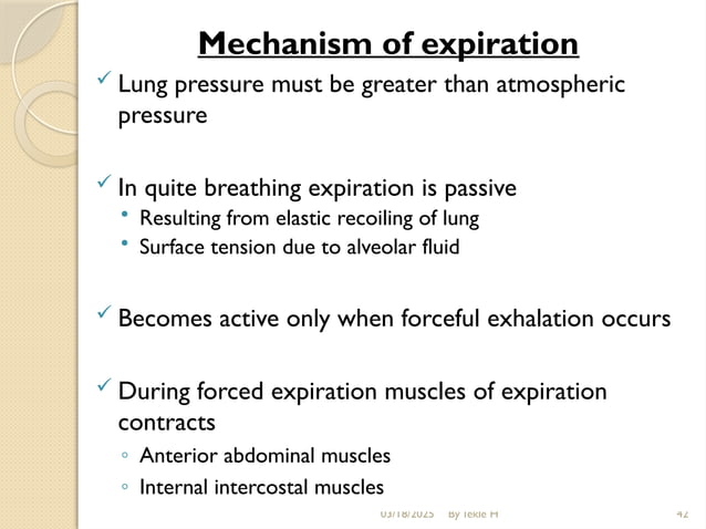 Respiratory system Physiology powerpoint.pptx