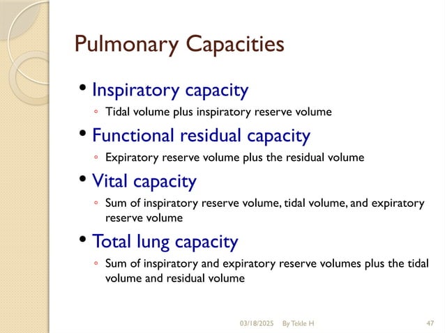 Respiratory system Physiology powerpoint.pptx