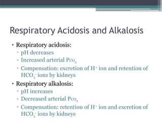 respiratoryphysiology- copy.pptx physiology | PPTX