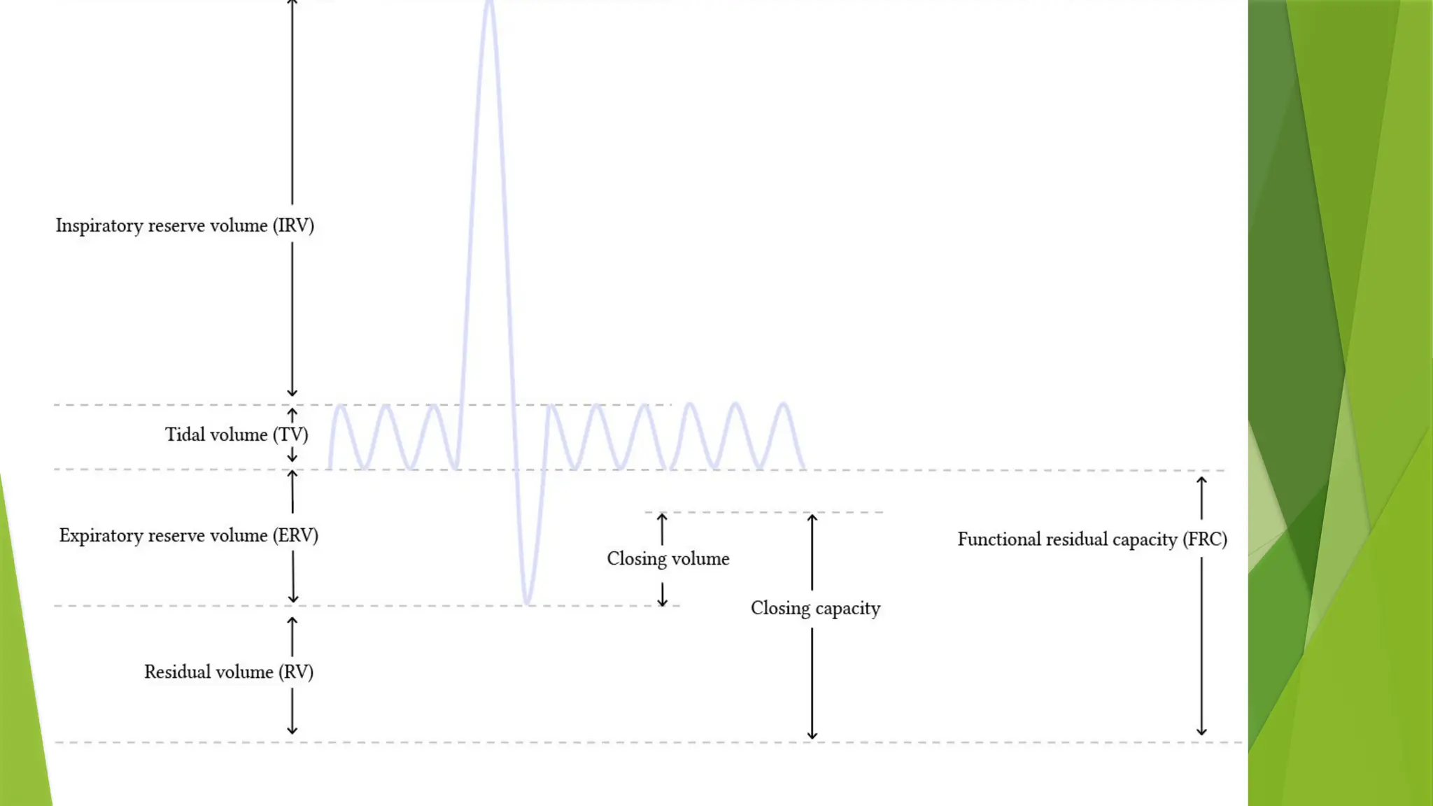 RESPIRATORY PHYSIOLOGY explained in east steps .pptx