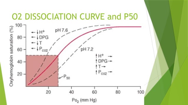 RESPIRATORY PHYSIOLOGY explained in east steps .pptx