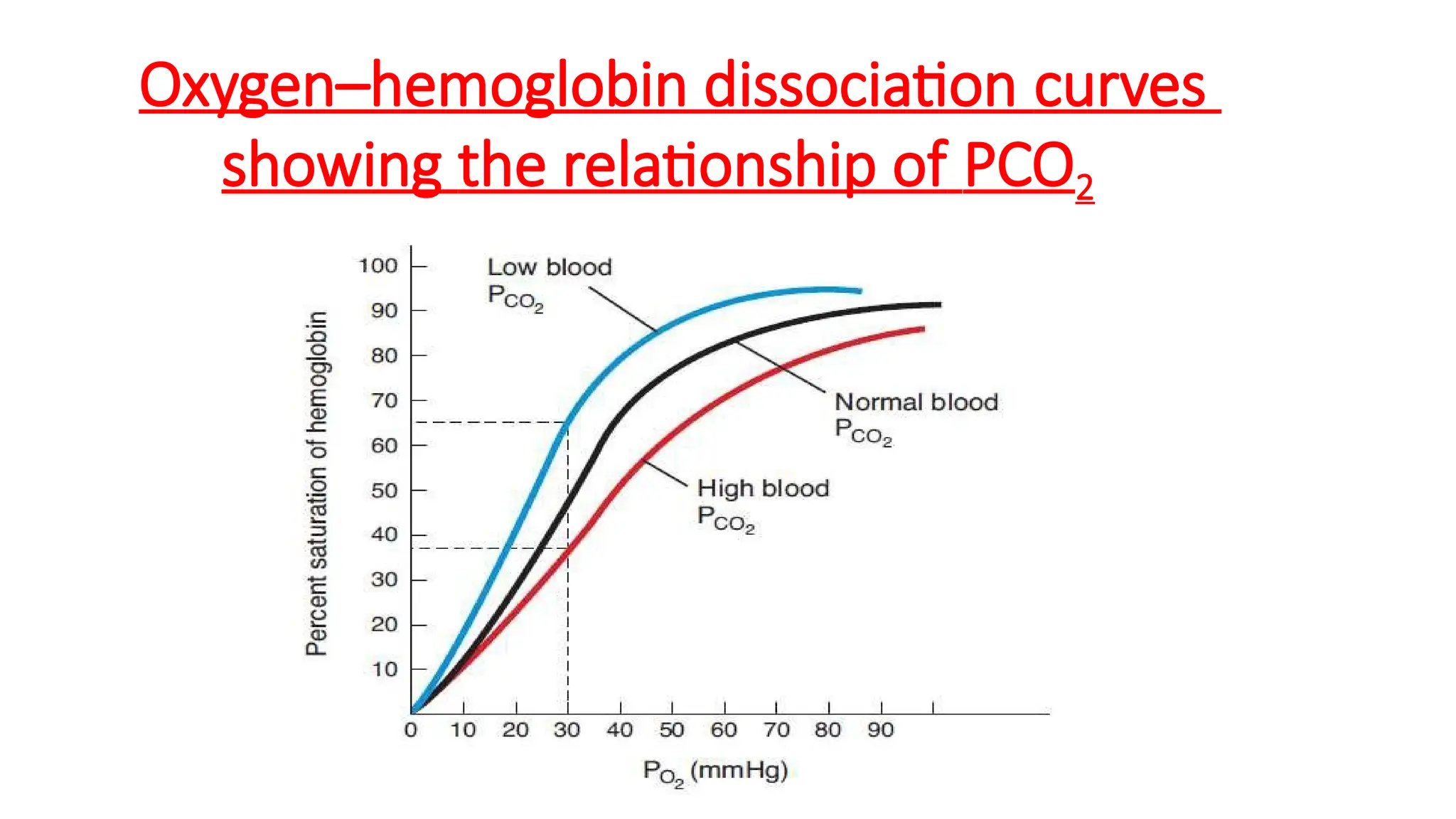 RESPIRATORY PHYSIOLOGY AND PULOMANARY FUNCTION TEST.pptx