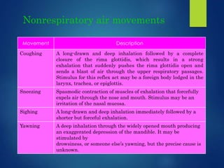 Respiratory physiology and respiratory disorders | PPT