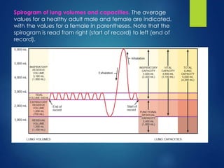 Respiratory physiology and respiratory disorders | PPT