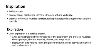 Respiratory physiology endfinal with bedside.pptx