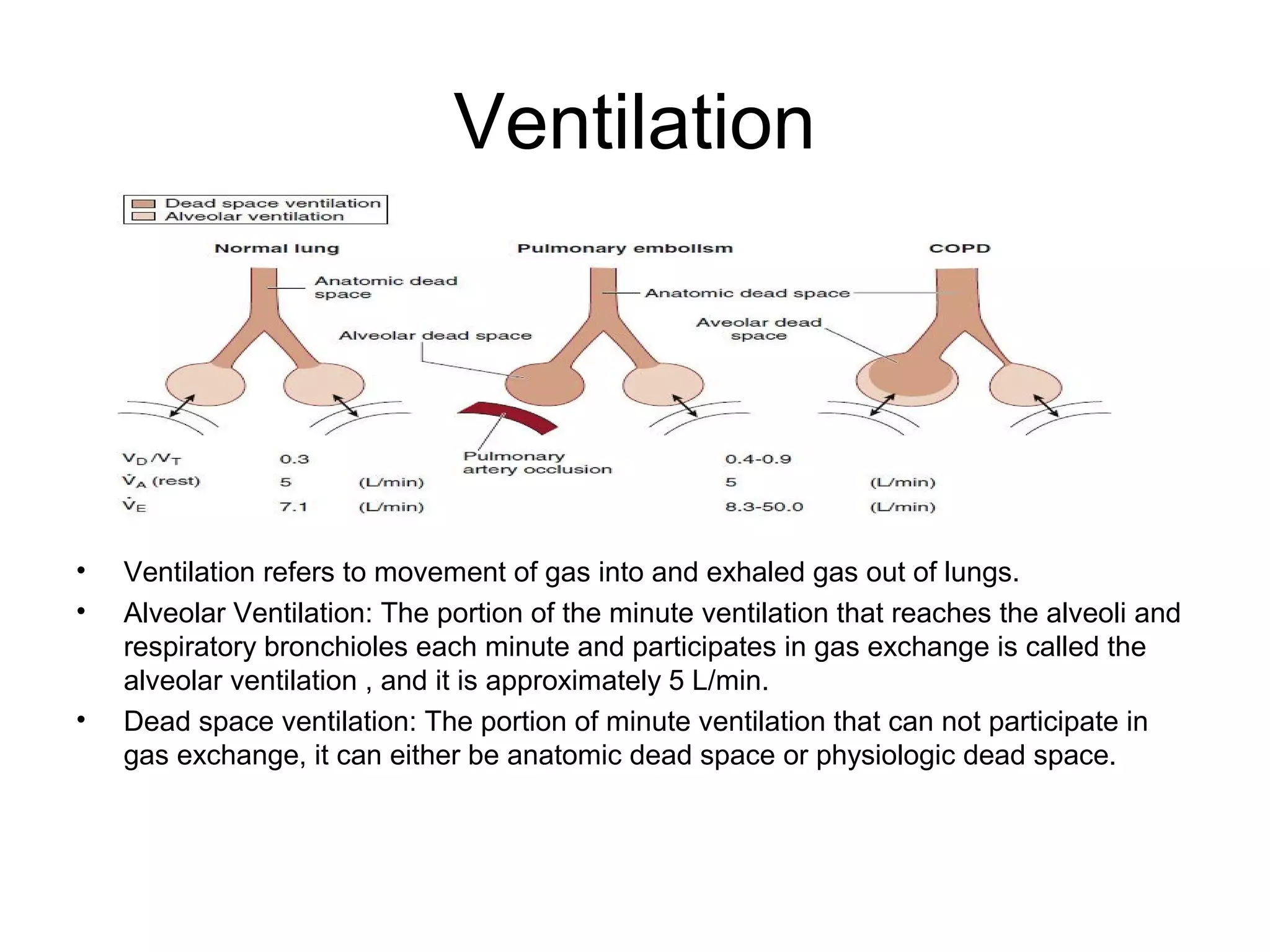 Respiratory physiology in awake and anaesthetized patients | PPT | Lung ...
