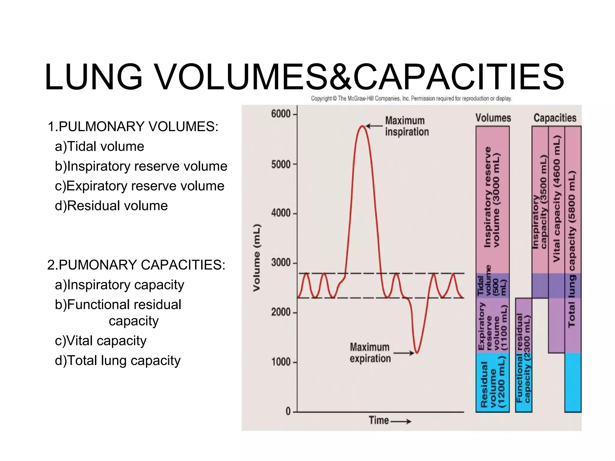 Respiratory physiology in awake and anaesthetized patients | PPT | Lung ...