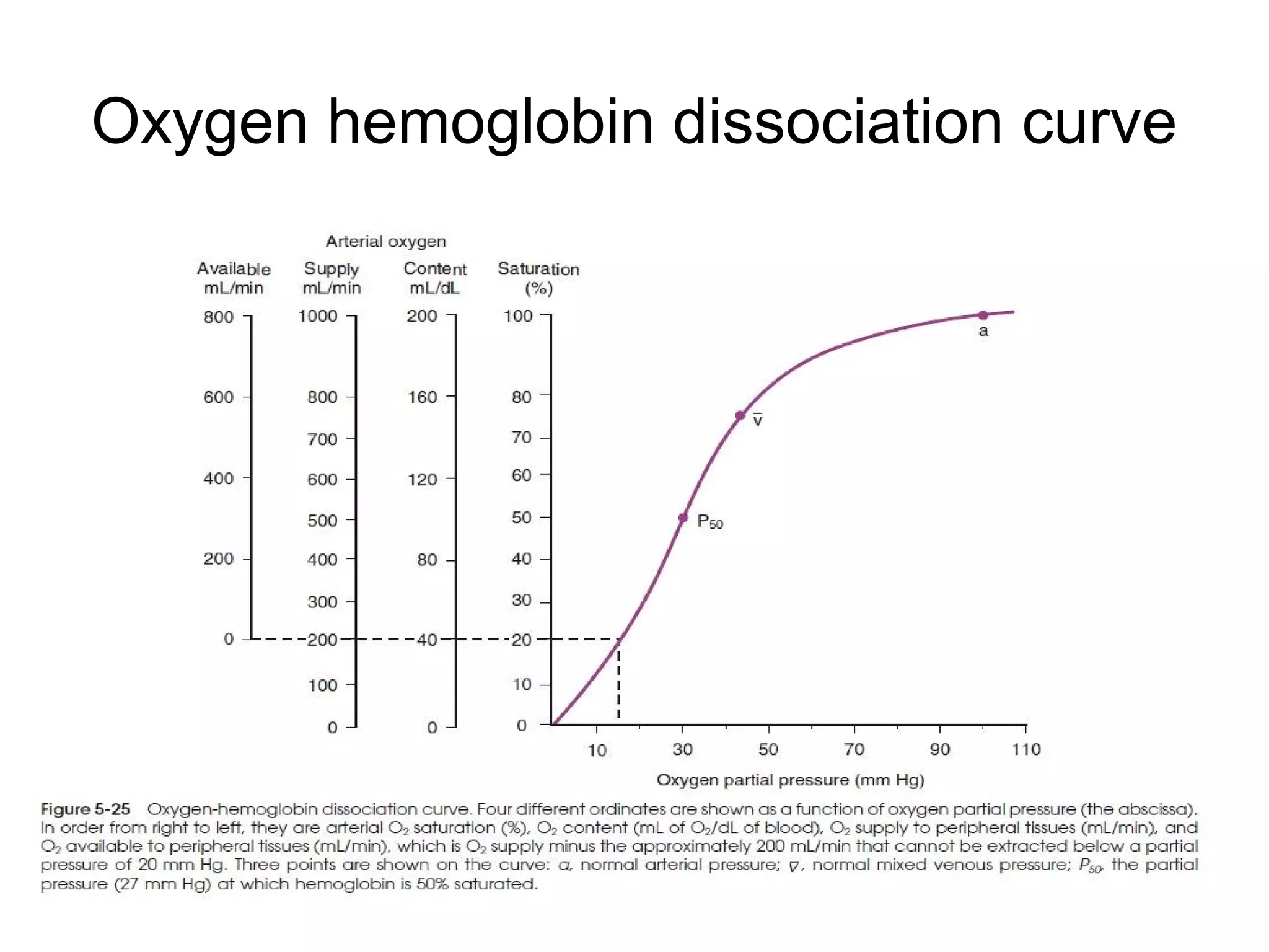 Respiratory physiology in awake and anaesthetized patients | PPT | Lung ...
