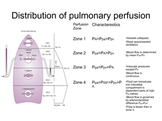 Respiratory physiology in awake and anaesthetized patients | PPT | Lung ...