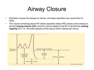 Respiratory physiology in awake and anaesthetized patients | PPT