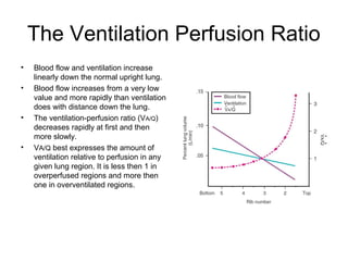 Respiratory physiology in awake and anaesthetized patients | PPT | Lung ...