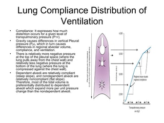 Respiratory physiology in awake and anaesthetized patients | PPT