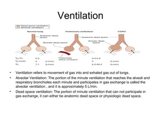 Respiratory physiology in awake and anaesthetized patients | PPT