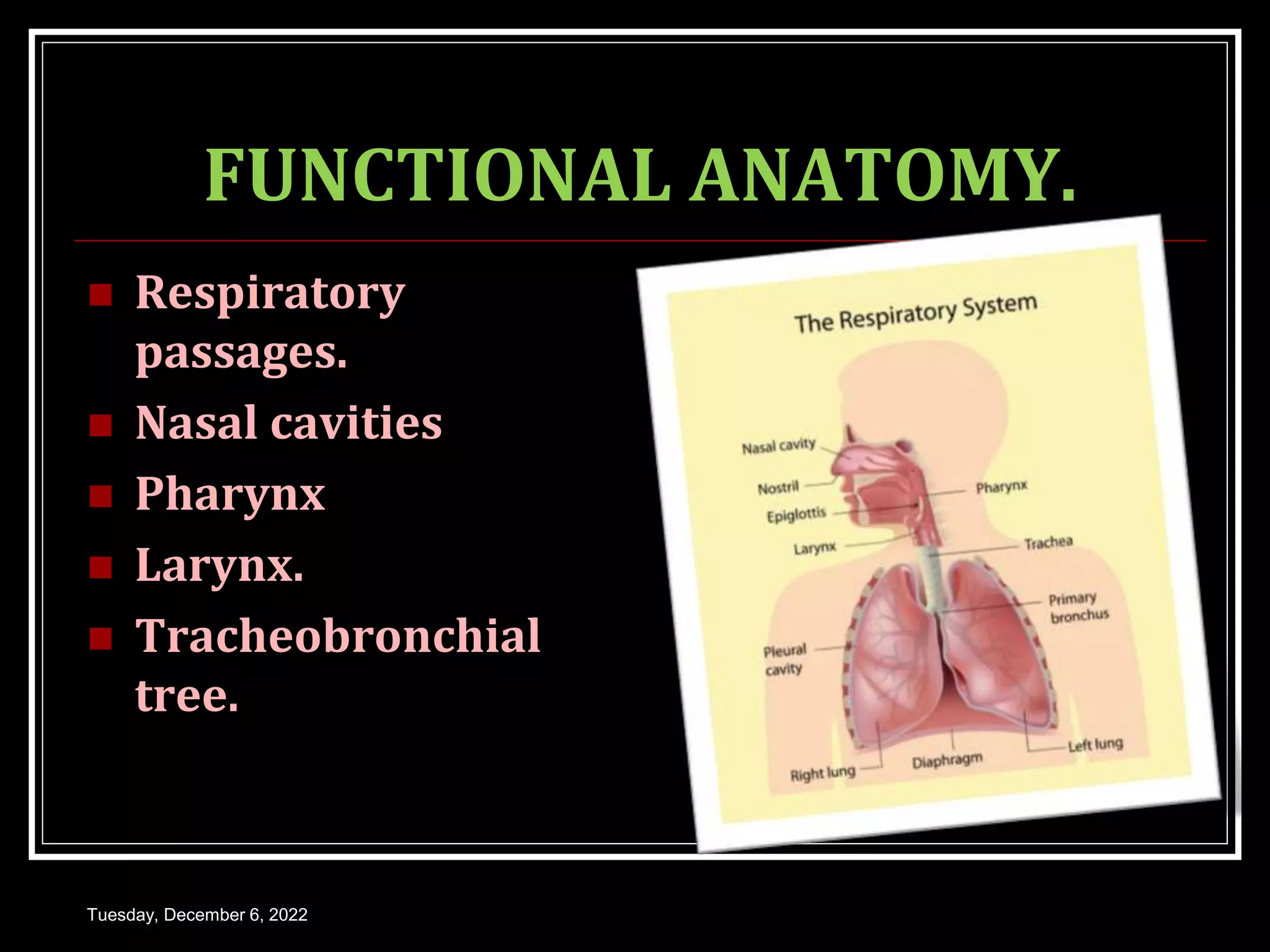 RESPIRATORY PHYSIOLOGY INTRODUCTION | PPT