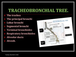 RESPIRATORY PHYSIOLOGY INTRODUCTION | PPT