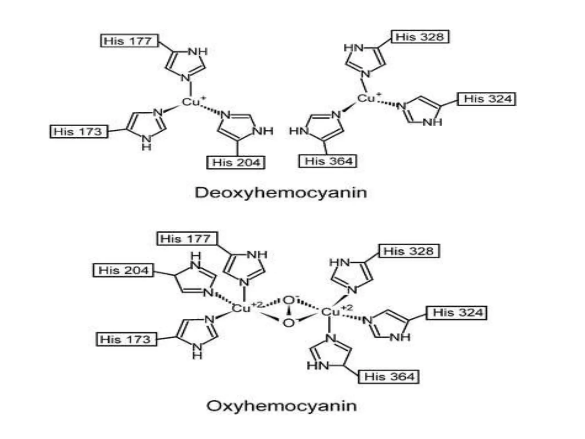 Respiratory Pigment(Girja Pd. Patel) | PPTX