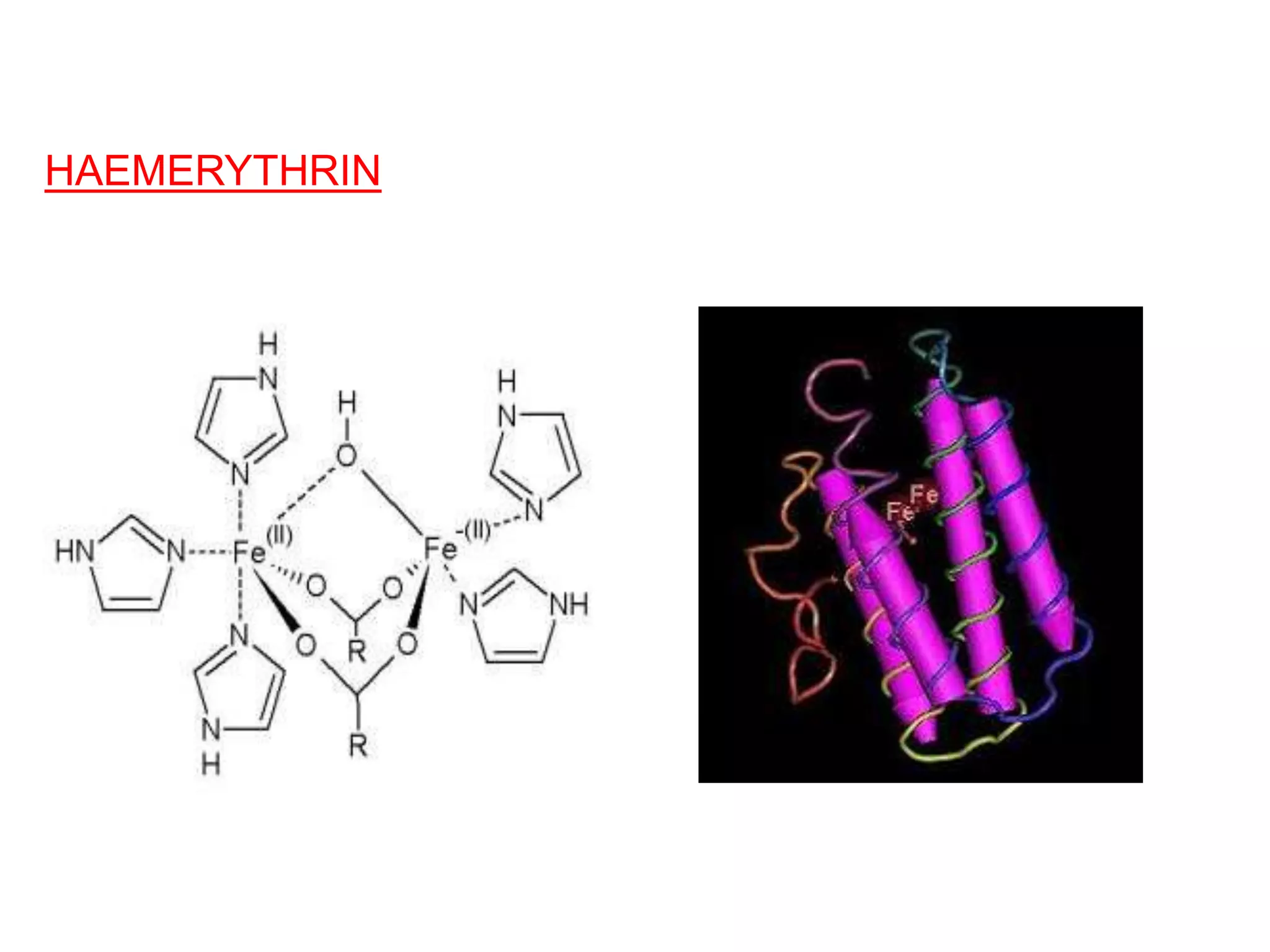 Respiratory Pigment(Girja Pd. Patel) | PPTX