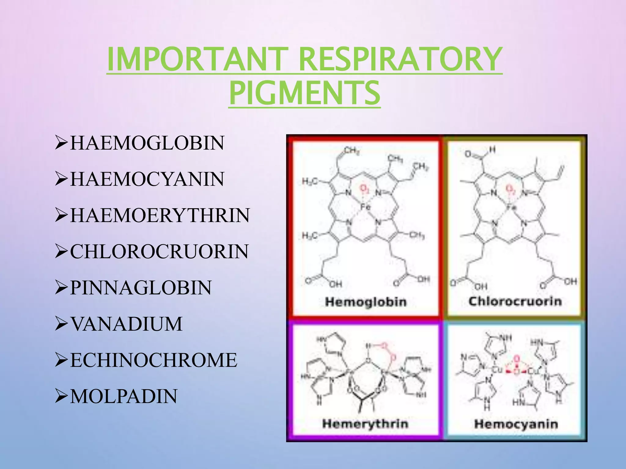 Respiratory pigments | PPTX