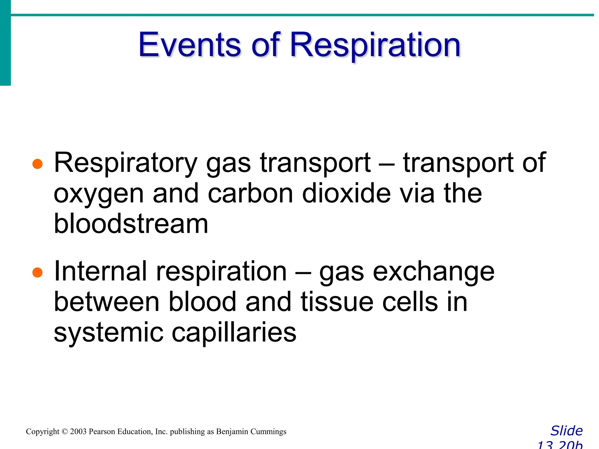 respiratory presentation slides for grade 9 students | PPTX