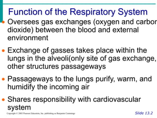 respiratory presentation slides for grade 9 students | PPTX