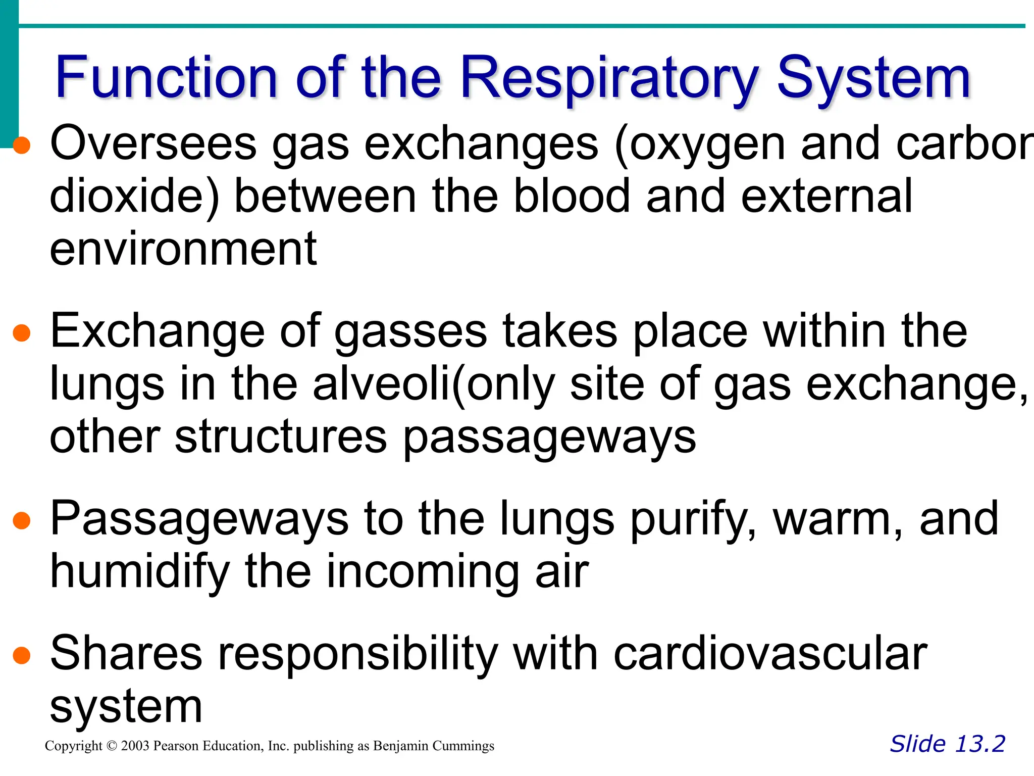 respiratoryppsystem muvh useul anatomy &phyt.ppt