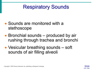 respiratorypptbasics for biomedical engineerinh.ppt