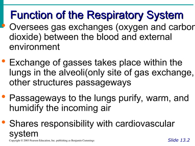 respiratory system grade 5 science and health | PPT