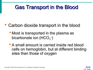 respiratory system grade 5 science and health | PPT