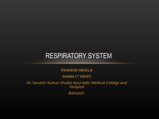 Respiratory physiology ppt in short and good | PPT