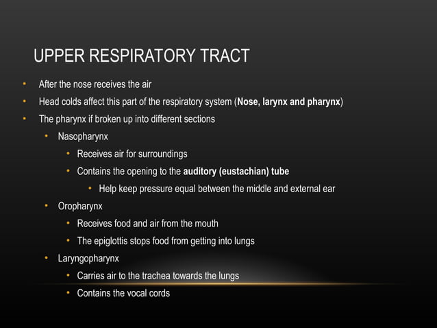 Respiratory physiology ppt in short and good | PPT
