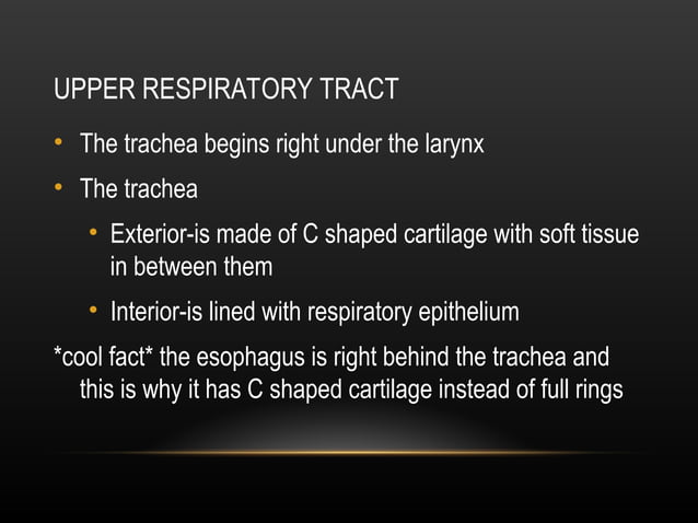 Respiratory physiology ppt in short and good | PPT