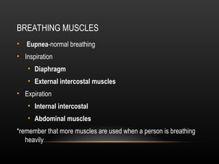 Respiratory physiology ppt in short and good | PPT