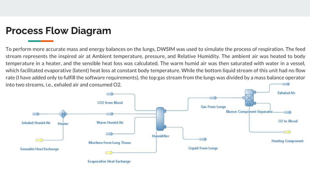 Simulation of Lungs for the Respiration Process using DWSIM | PPT