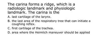 respiratory abc zdfbcfxcvfxdcvfxdcv quiz.pptx