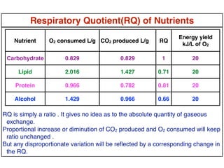 Respiratory quotient of nutrients | PPT