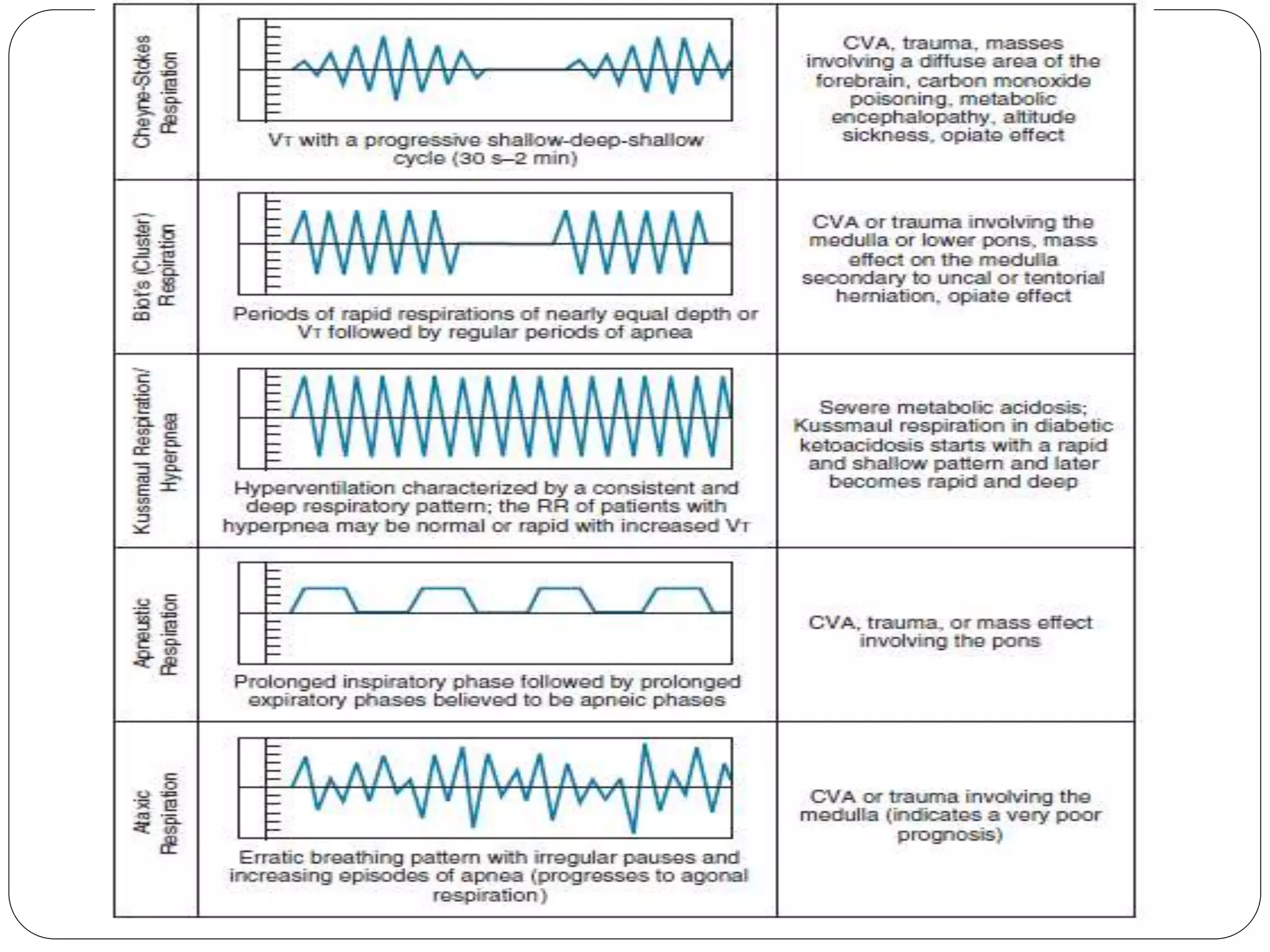 Respiratory rate | PPTX