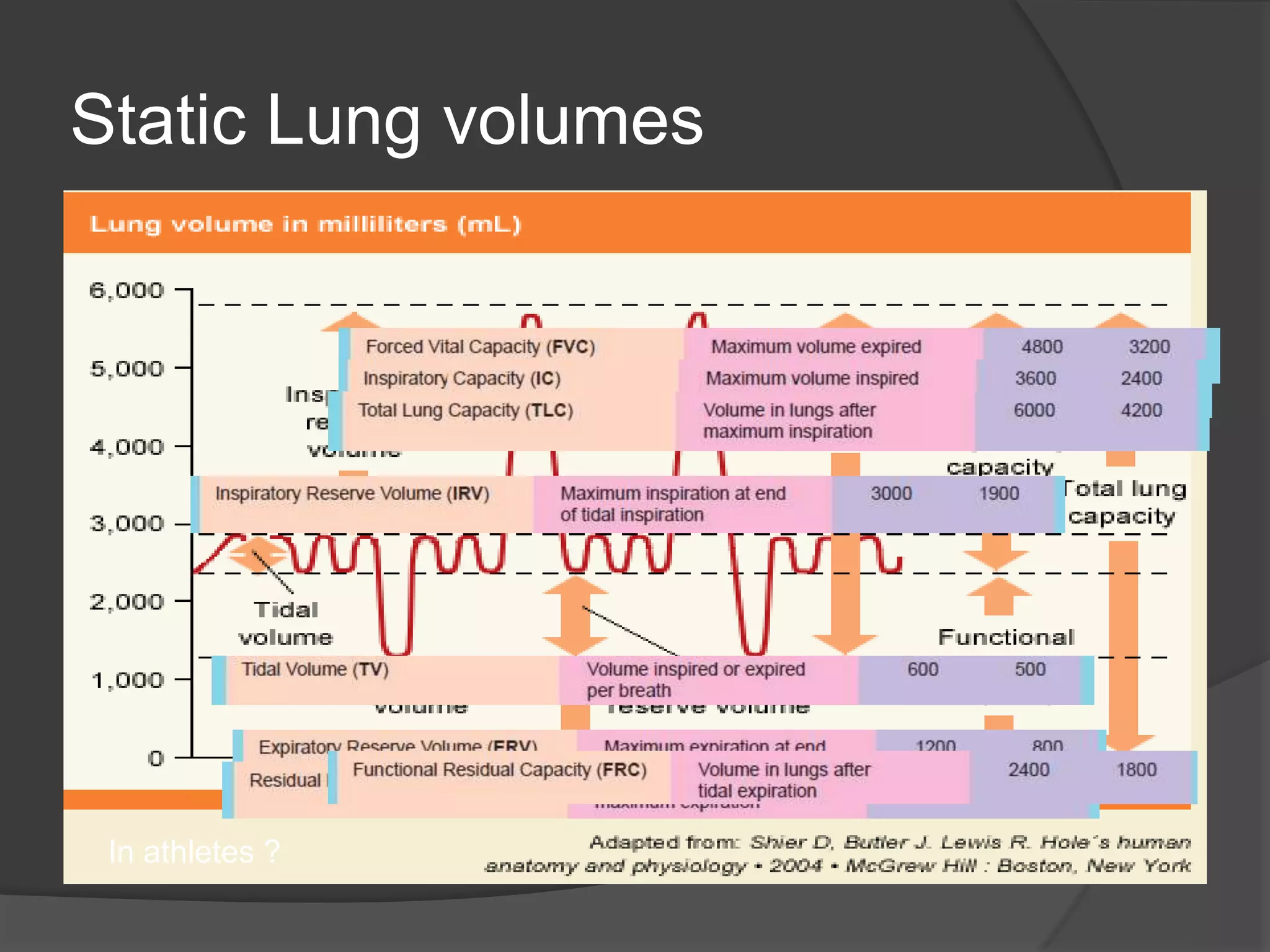 Respiratory response to exercise | PPTX