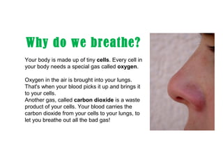 Respiratory s. | PPS