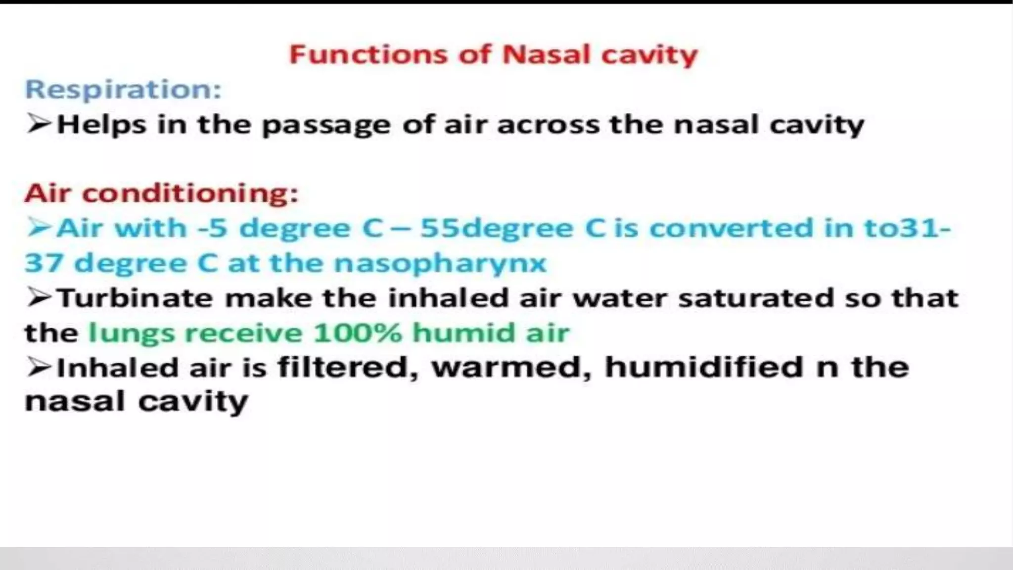 THE RESPIRATORY SYSTEM Anatomy and physiology slideshare | PPTX